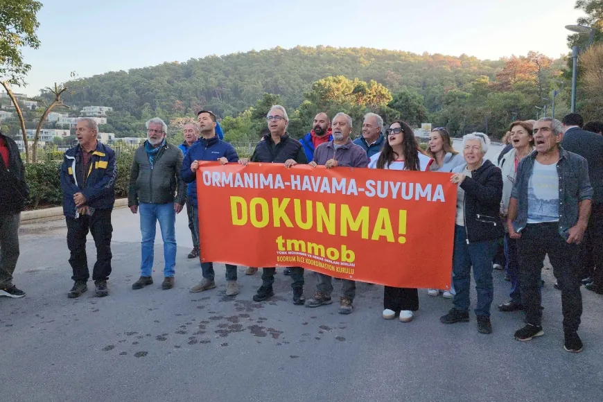 Gölköy’de 77 dönümlük ormanlık arazinin betona tahsisine sert tepki ...